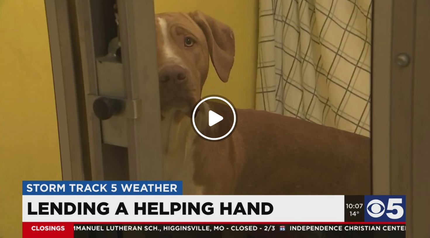 News & Media - Great Plains SPCA Virtual Media Kit