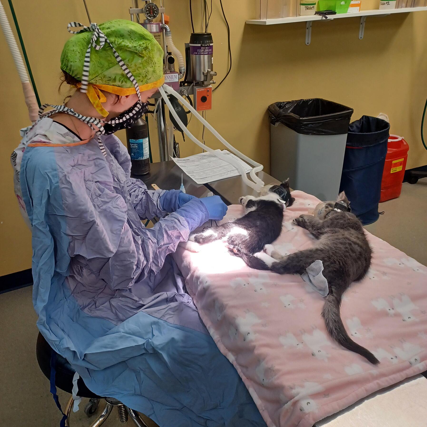 Great Plains SPCA - Careers