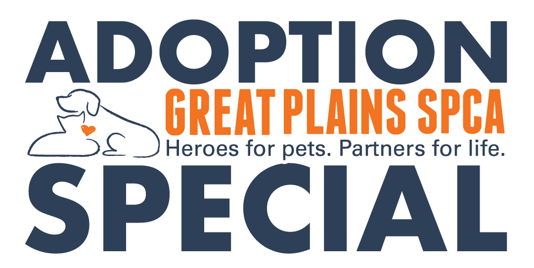 Adoptable Dogs at Great Plains SPCA | Great Plains SPCA